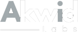 Akwid Labs | Empowering Businesses with AI-Driven Technology Solutions